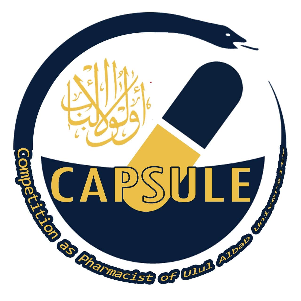CAPSULE | E-Ujian